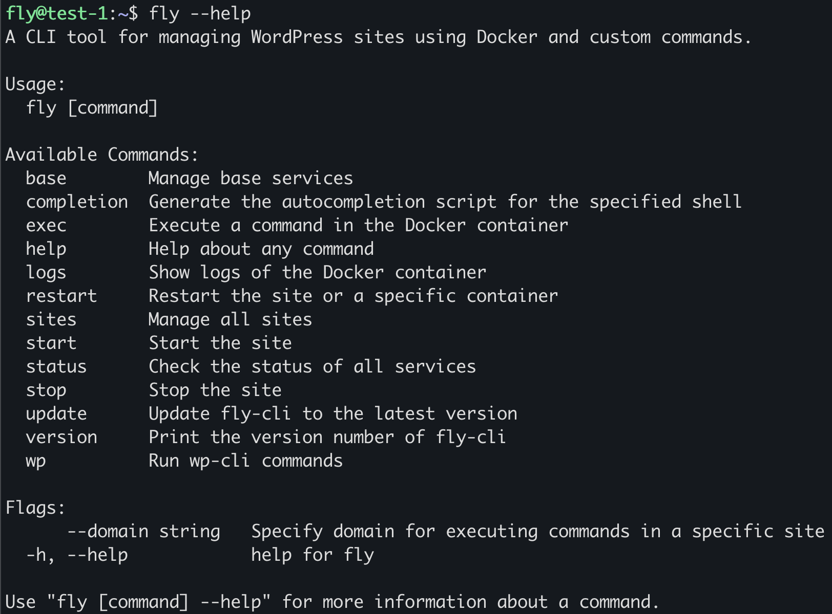 Accessing WP CLI Through Server CLI – FlyWP